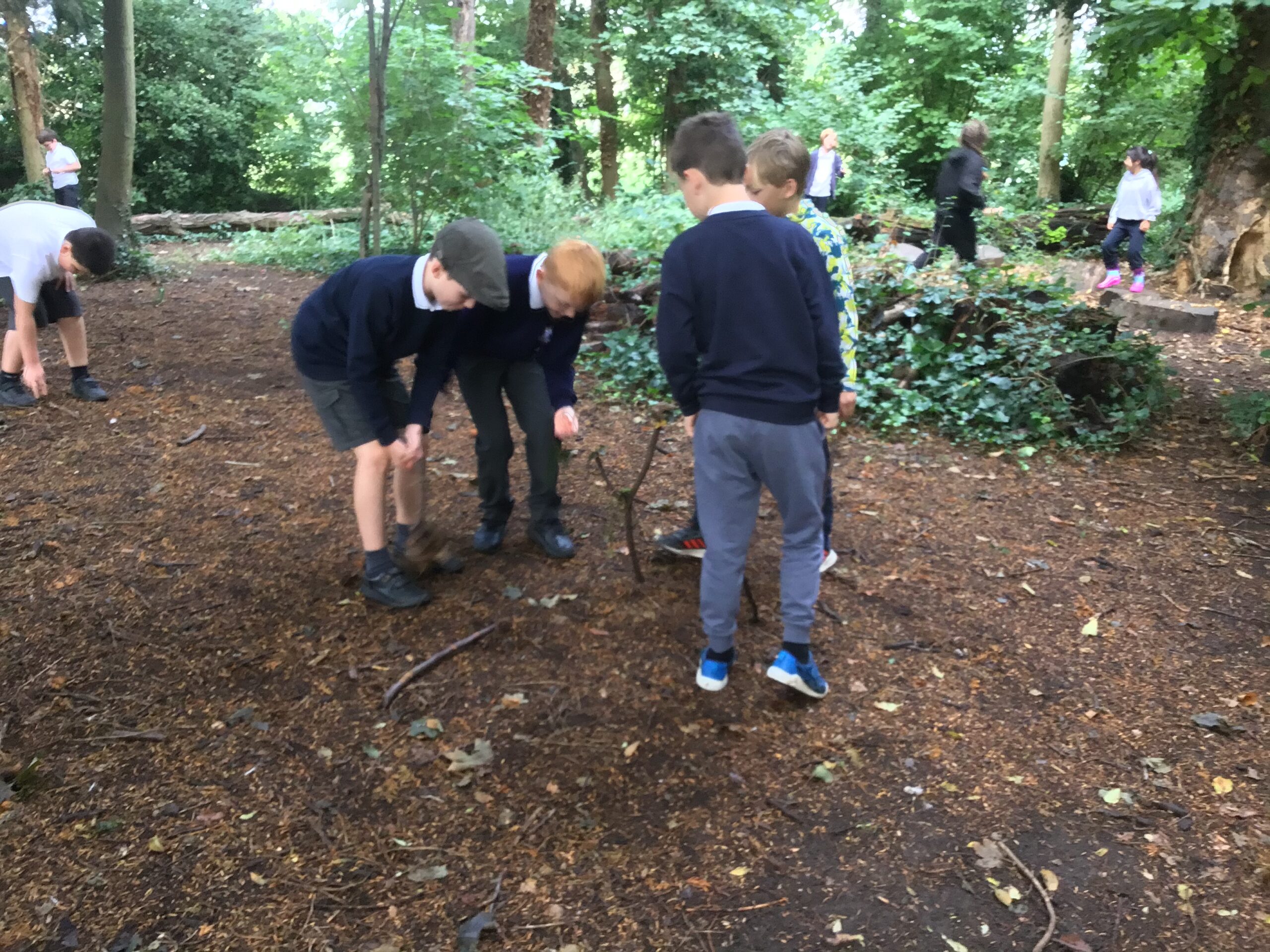 Birch Class Gallery – Stapleford Community Primary School