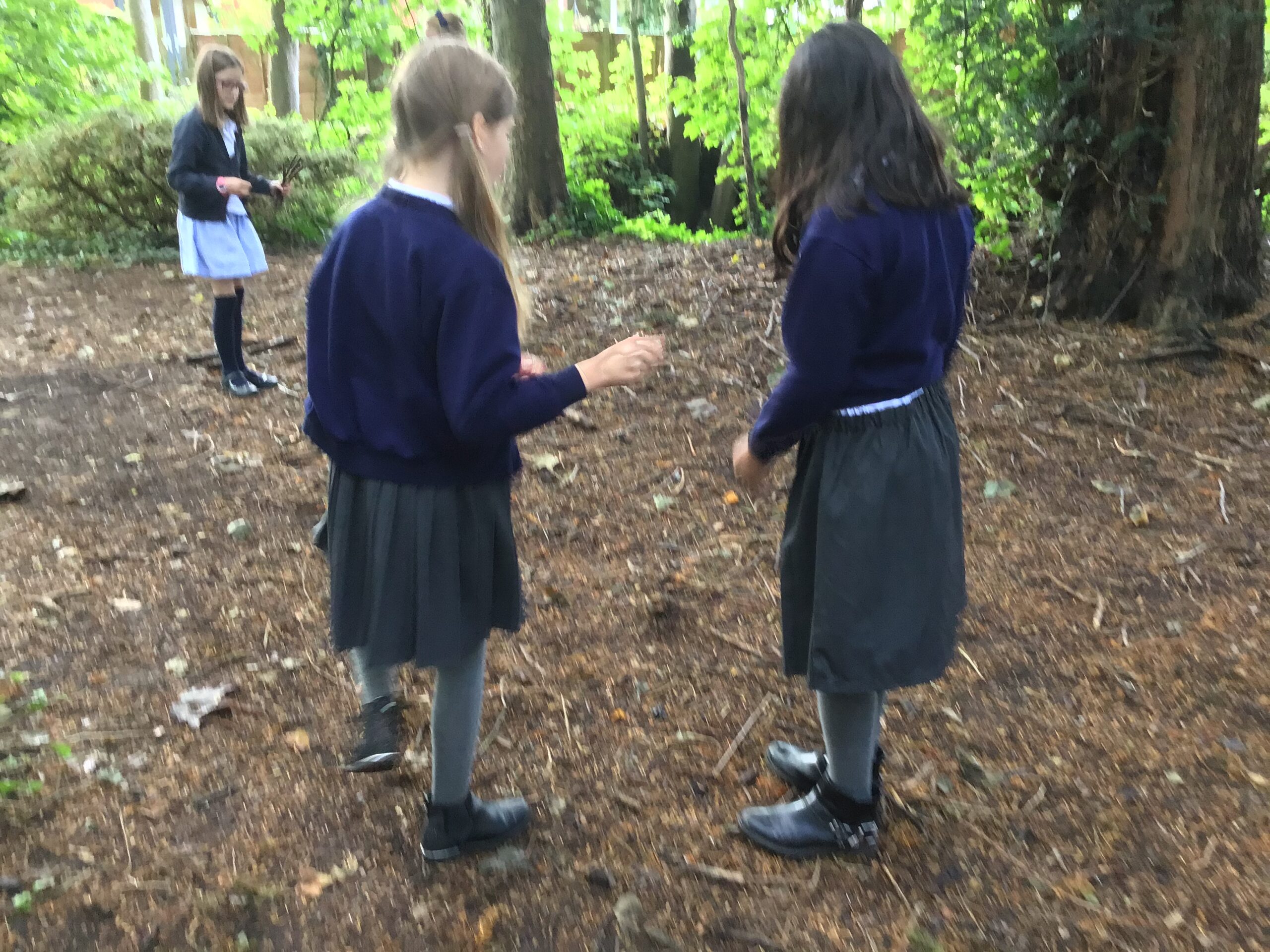 Birch Class Gallery – Stapleford Community Primary School