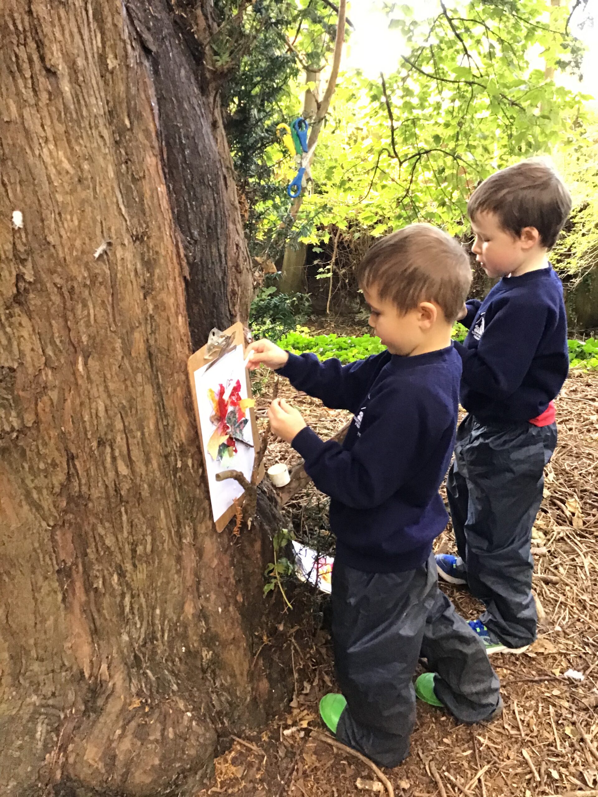 Willow Class Gallery – Stapleford Community Primary School