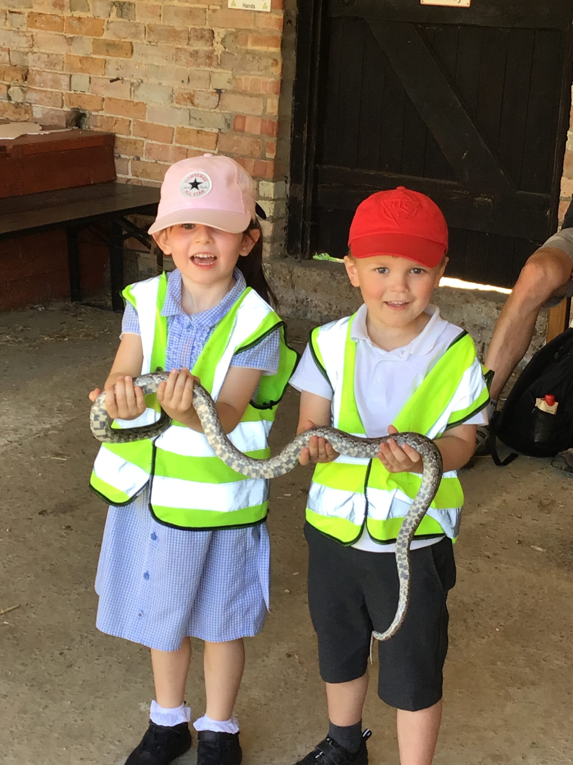 Elm Class Gallery – Stapleford Community Primary School
