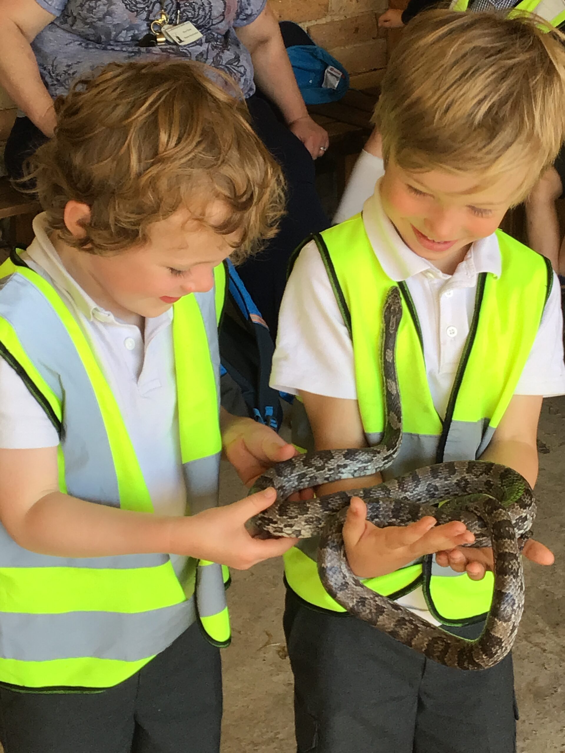 Elm Class Gallery – Stapleford Community Primary School
