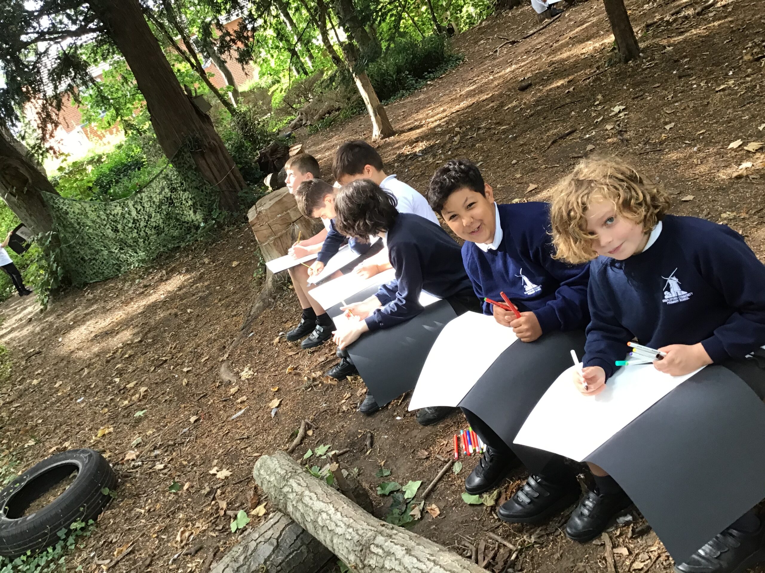 Pine Class Gallery – Stapleford Community Primary School