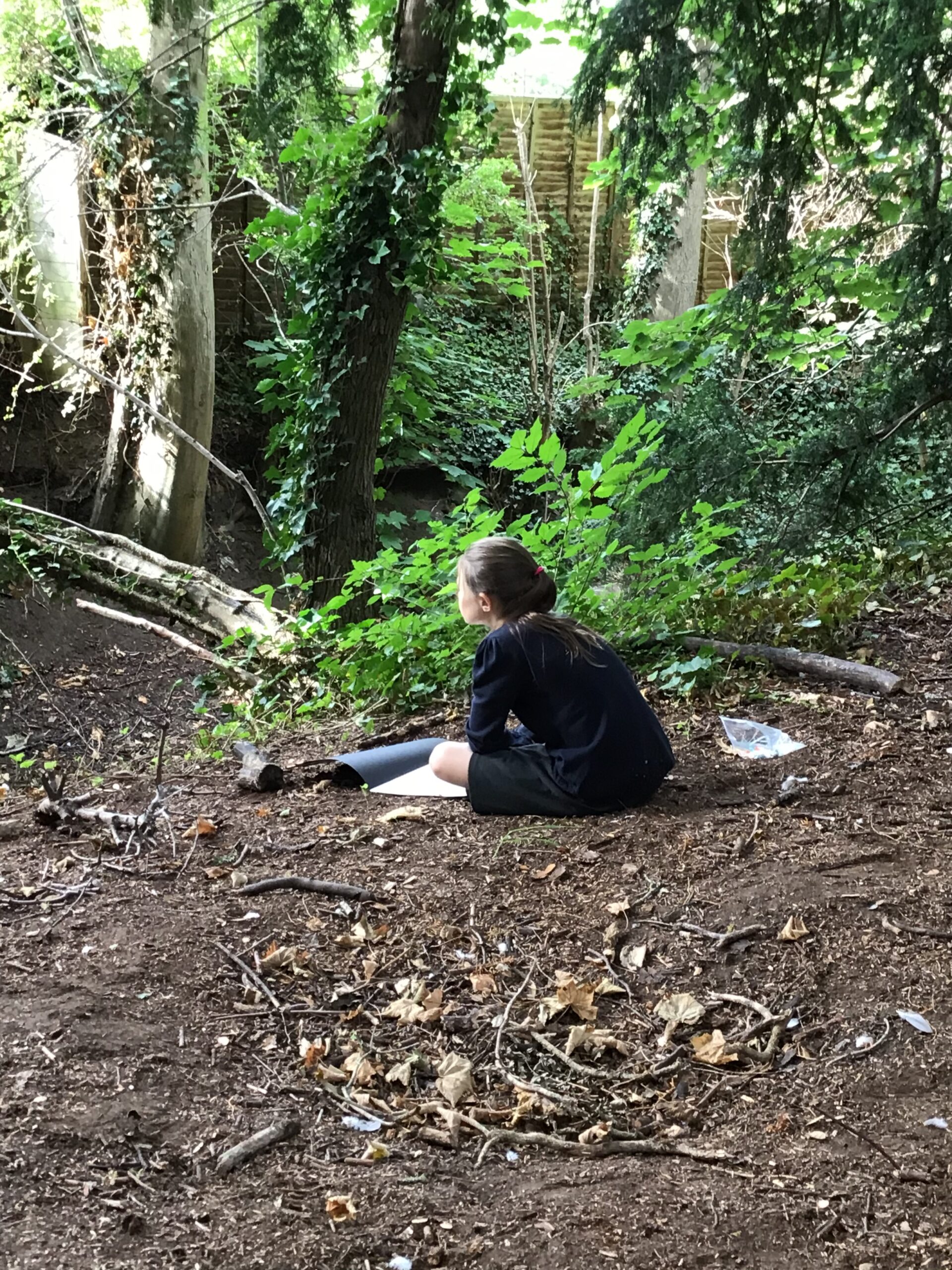 Pine Class Gallery – Stapleford Community Primary School