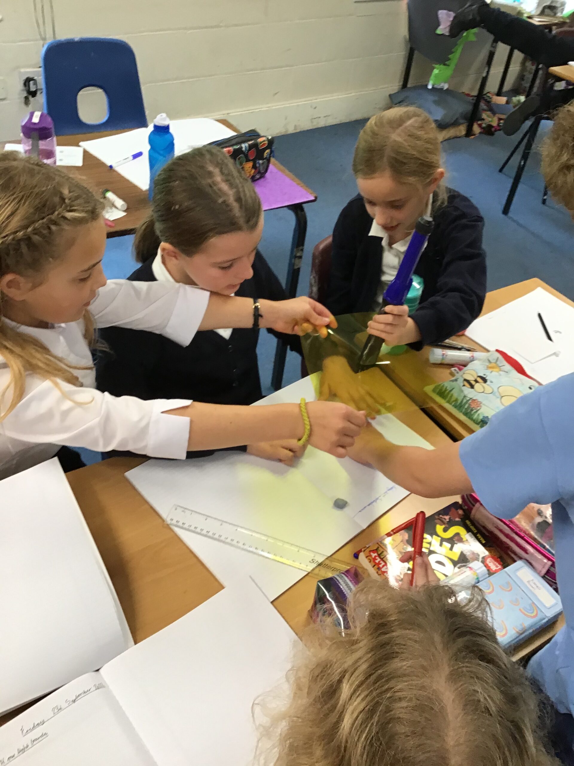 Pine Class Gallery – Stapleford Community Primary School